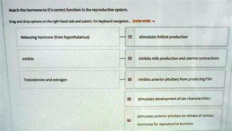 Match The Hormone To Its Correct Function In The Reproductive System 1