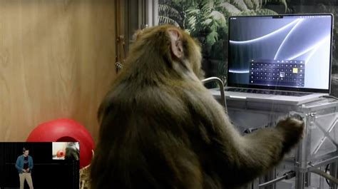 Chinese Brain Implant Project Set To Overtake Musks Neuralink