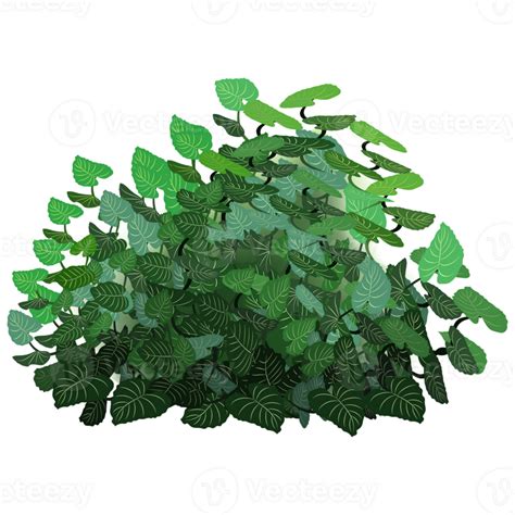 Green Bush And Tree For Landscape And Architecture Drawing Elements For Environment And Garden