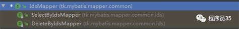 spring boot 整合 mybatis 通用 mapper（tkmybatis） 墨天轮