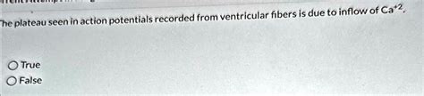 The Plateau Seen In Action Potentials Recorded From Ventricular Fibers