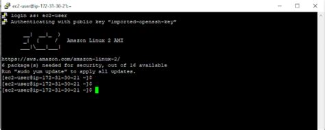 How To Install LAMP Server On Amazon Linux JumpCloud