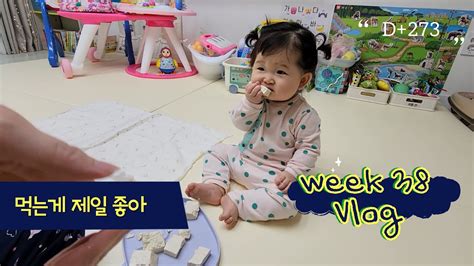 성장일기 38주차 I 267일~273일 I 생후8개월 I 기어가기 I 네발기기자세 I 간식시금치 카스테라 I 두부놀이 I