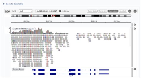 how to view igv tracks of bam and vcf files terra support