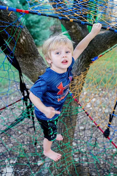 Six Oaks Tree Net Tree Weaves Six Oaks Tree Net Tree Weaves