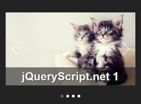 easy responsive image carousel and slider plugin jquery skyslider