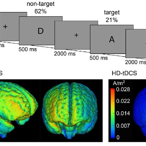 Methods A Schematic Illustration Of The Modified N Back Task B Download Scientific