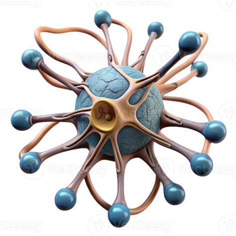 Elegant Classic Neuron Connection Diagram Cutout With Detailed