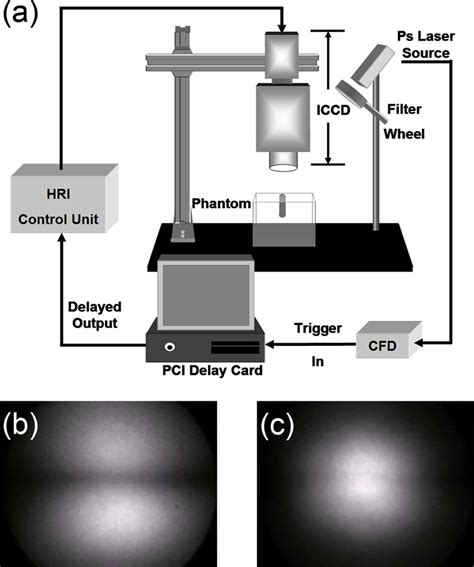 A Block Diagram Of The Iccd Imaging System And Phantom Illumination