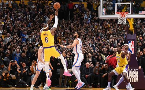 Lebron James Basketball Goal Top Sellers | bellvalefarms.com