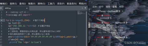 python安全攻防 从入门到入狱 csdn博客