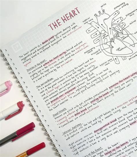 Pin By Mary On S T U D Y Study Notes Notes Inspiration School