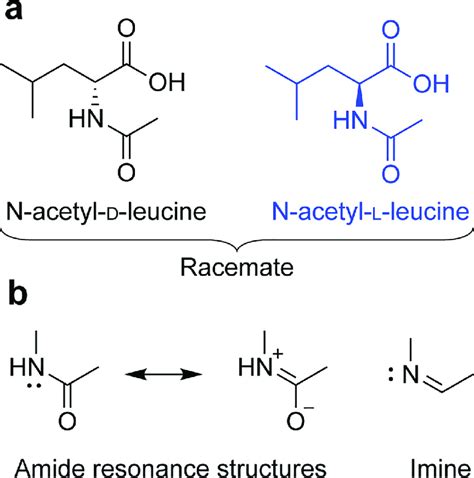Leucine Structure
