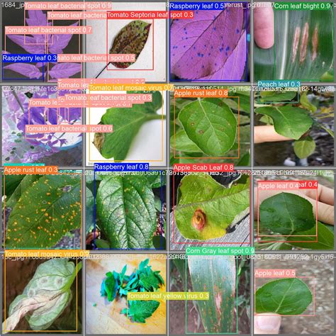 Frontiers Serpensgate Yolov8 An Enhanced Yolov8 Model For Accurate Plant Disease Detection