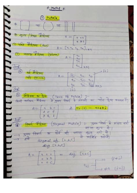 SOLUTION Mathematics Chapter Matrix Studypool