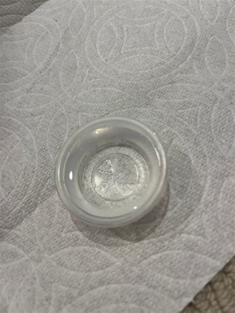 Springtail Eggs Rcrestedgecko