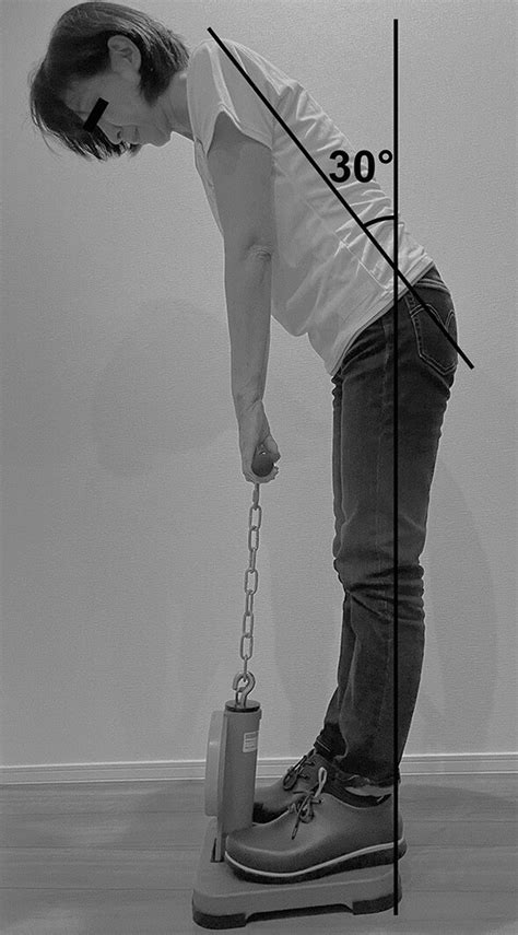 Back Extensor Strength Was Measured In The Standing Position While Download Scientific Diagram