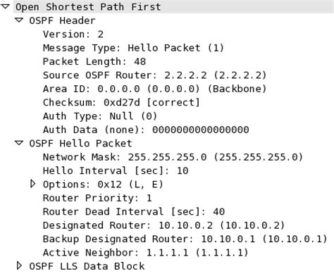 IP Routing And Switching OSPFv Packet Types