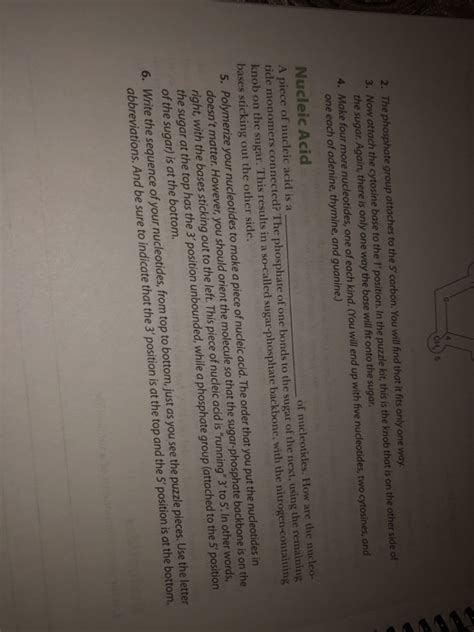 Solved DNA STRUCTURE DNA The Molecule That Holds The Secret Chegg Com