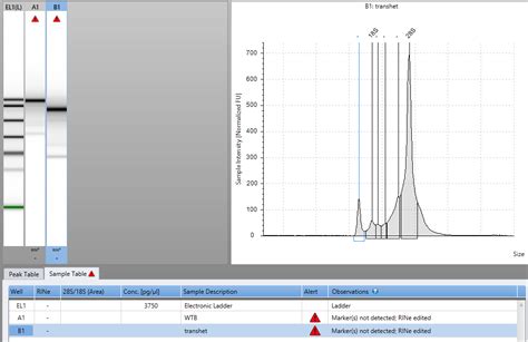 174 Questions With Answers In Rna Degradation Science Topic