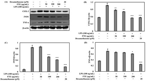 Bacillus Subtilis Fermentation Augments The Anti Inflammatory And Skin Moisture Improvement