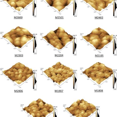 Afm Characterization Of The Membrane Surfaces Color Figure Can Be