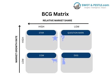 Hennson Inc Bcg Matrix Analysis 2025 Swot And Pestle