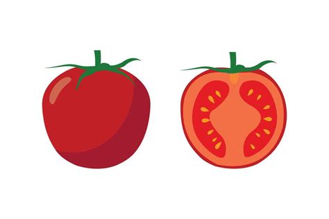 Tomato Slice Isolated On White Tomato Organic Food Illustration Of