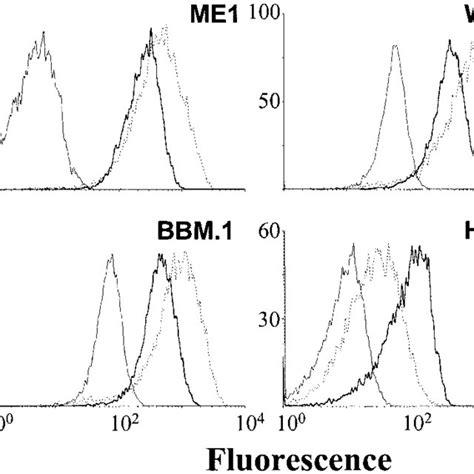 Flow Cytometry Analysis Of Hla B27 Expression On C1r Transfectant Download Scientific Diagram