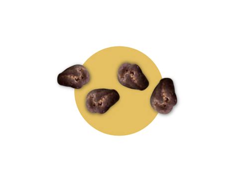 Nud Chocolate Covered Raisins 6 Pack Nud Fud Inc
