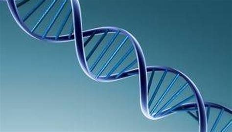 How Does DNA RNA Differ Sciencing
