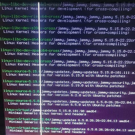 Black Screen After Booting General Help Zorin Forum