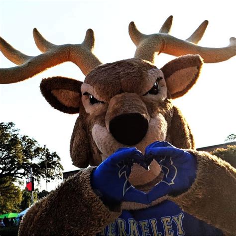 Berkeley High Berkeley High School Lady Stags Golf
