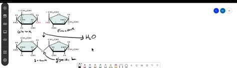 Solved Complex Polymers Are Built From Combinations Of Smaller Monomers What Type Of Reaction