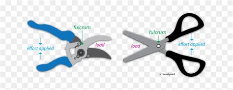 First Class Lever Scissors