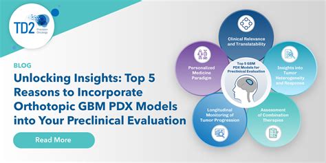 Unlocking Insights Top 5 Reasons To Incorporate Orthotopic Gbm Pdx