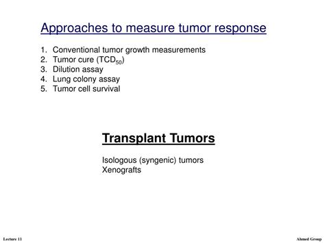 Ppt Solid Tumor Assay Systems Powerpoint Presentation Free Download Id 1113753