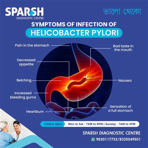 H Pylori Understanding The Hidden Stomach Invader Sparsh Diagnostic