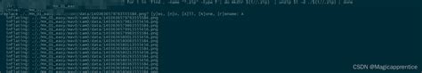Linux 命令行下批量解压当前目录下的所有zip文件到指定目录linux批量解压zip文件 Csdn博客