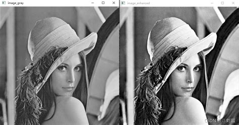 C Opencv 图像处理：直方图处理（直方图均衡化，直方图匹配（规定化））opencv C 直方图规定化 Csdn博客