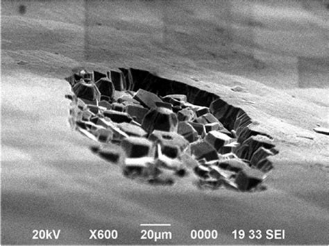Secondary Electron Image Of The Uncoalesced Part Of The Surface With