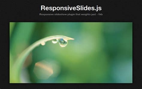 Lightweight Responsive Slideshow JQuery Plugin Web Resources WebAppers