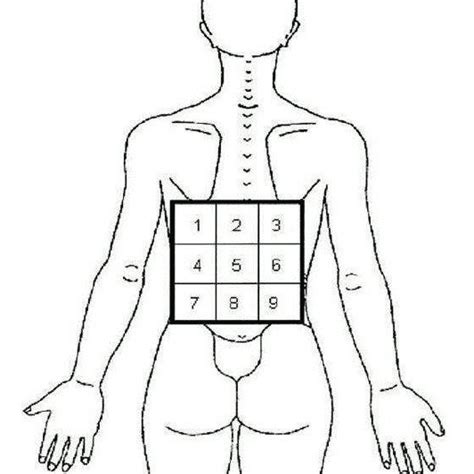 Localisation Treatment Grid Download Scientific Diagram