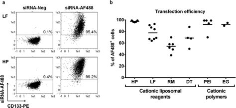 Transfection Of Fluorescent Sirna Into Cd133 Hspcs With Liposomal