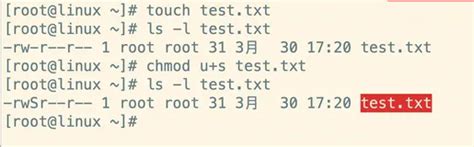 Linux权限之谜：一步步教你如何解锁sudo权限并窥视etcshadow的神秘面纱！ 阿里云开发者社区