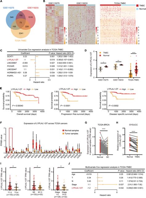 Dissection Of Foxo1 Induced Lyplal1 Dt Impeding Triple Negative Breast