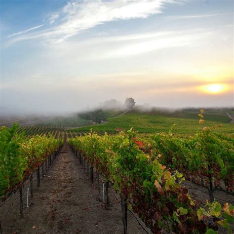 Healdsburg Wineries And More In Russian River Valley Sunset Sonoma