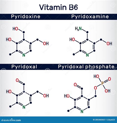 Forms Of Vitamin B6 Pyridoxal Pyridoxal Phosphate Pyridoxine