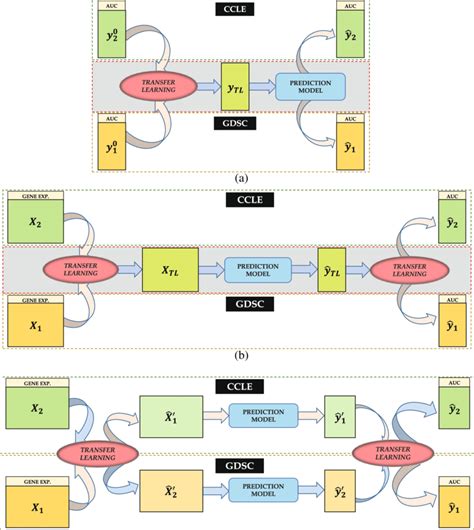 Illustration Of The Proposed Transfer Learning Approaches A Download Scientific Diagram