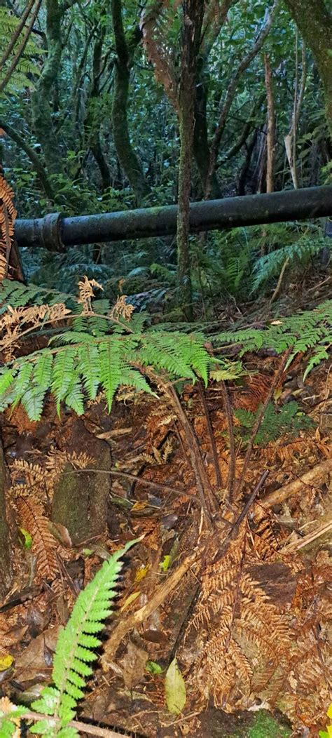 Scour Pipe Wainuiomata Net